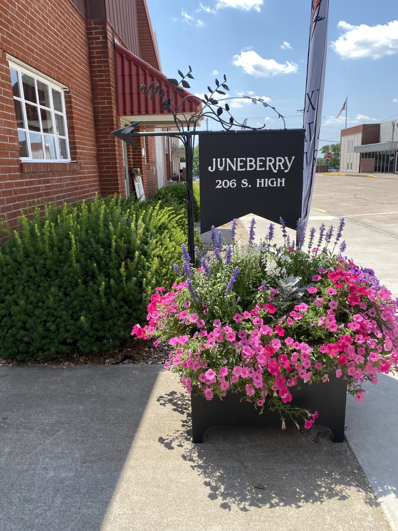 Welcome to Juneberry Plant Shop! - Juneberry Plant Shop